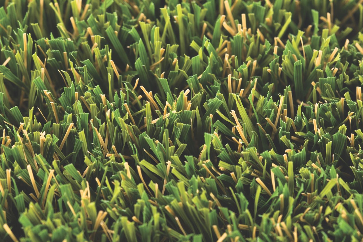 Triblend 50 - Rymar Synthetic Grass & Rubber Flooring